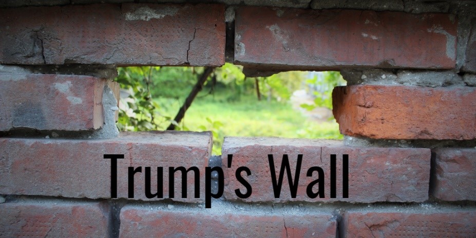 Another Brick in Trump’s Wall - Agility Forex